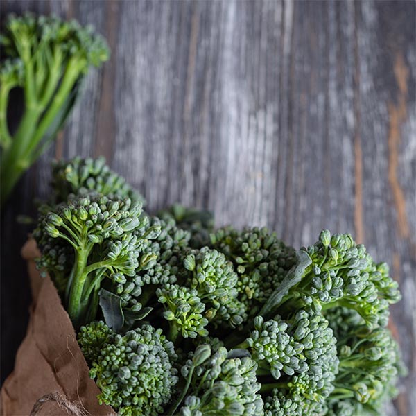 Broccoli - Foxfire Farms: Local, Natural, Sustainable